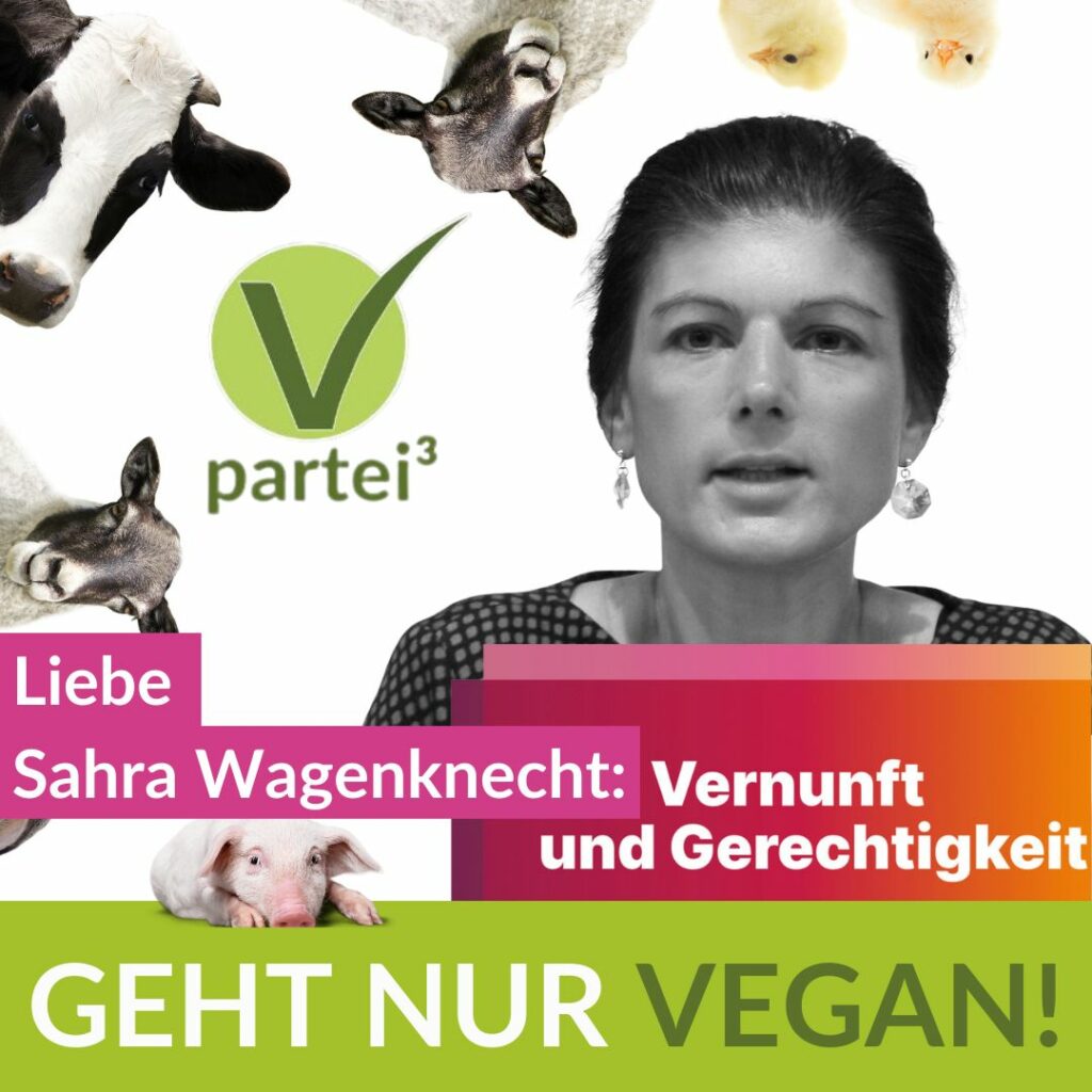 Solo Sahra Wagenknecht